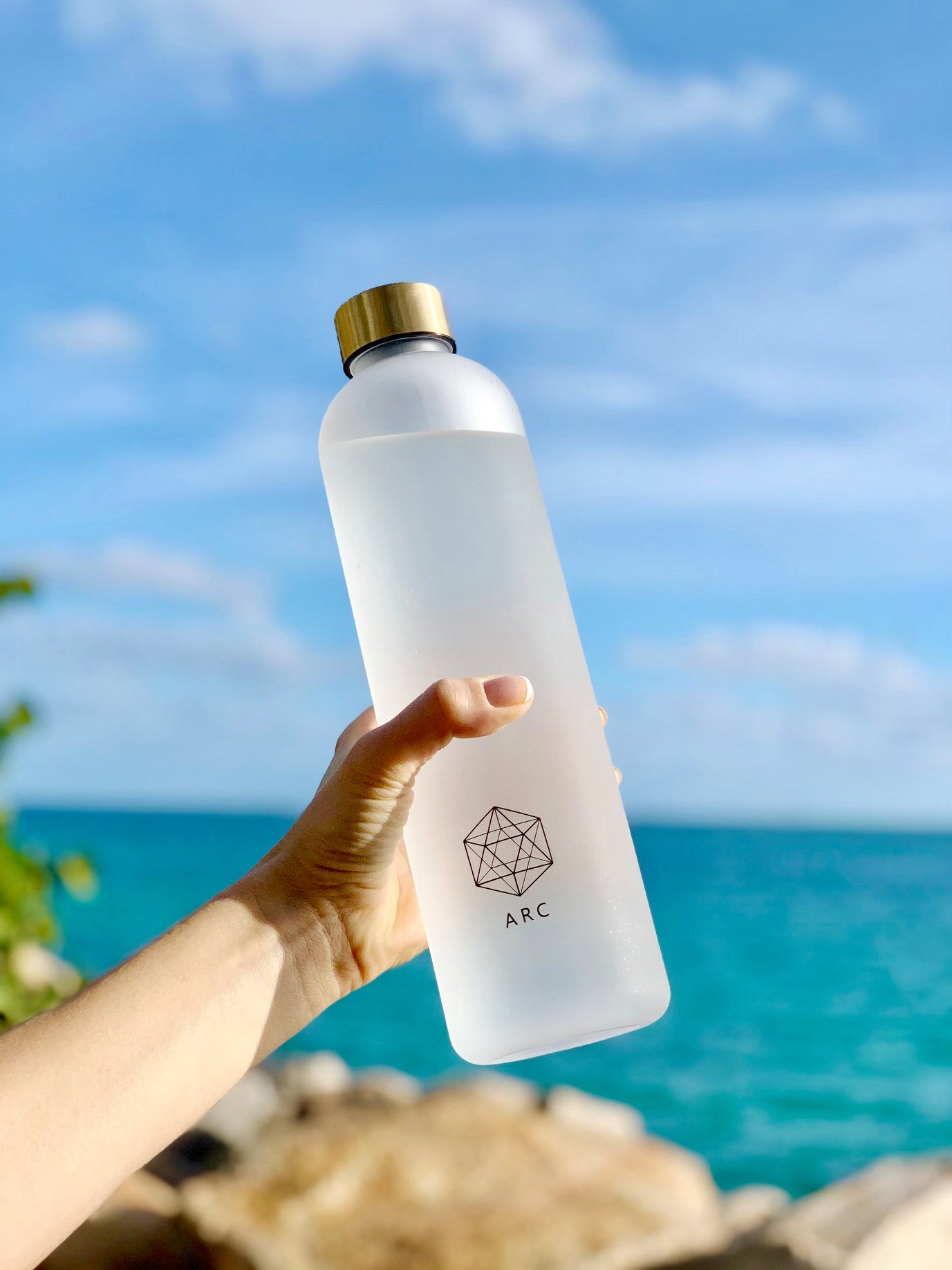 Cheers to Health and Sustainability with ARC Bottle! – Nonprofit Exchange